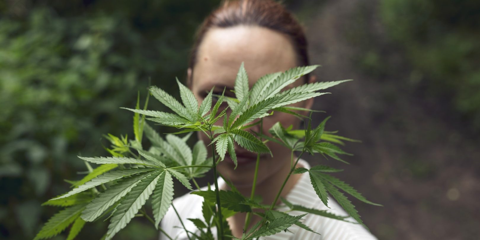 Understanding Marijuana Tolerance: How It Develops and What It Means